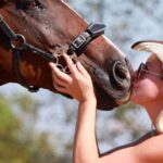 Wild Spring Ranch: Rakovica, Croatia, Horse Riding - What to Expect on the Ride