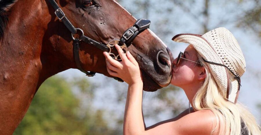 Wild Spring Ranch: Rakovica, Croatia, Horse Riding - What to Expect on the Ride