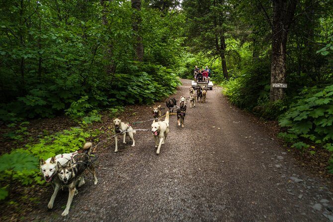 Wilderness Dog Sled Ride and Tour in Seward - Why This Experience Is Worth It