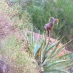 Wilderness Hiking Tours - The Experience Breakdown: What to Expect