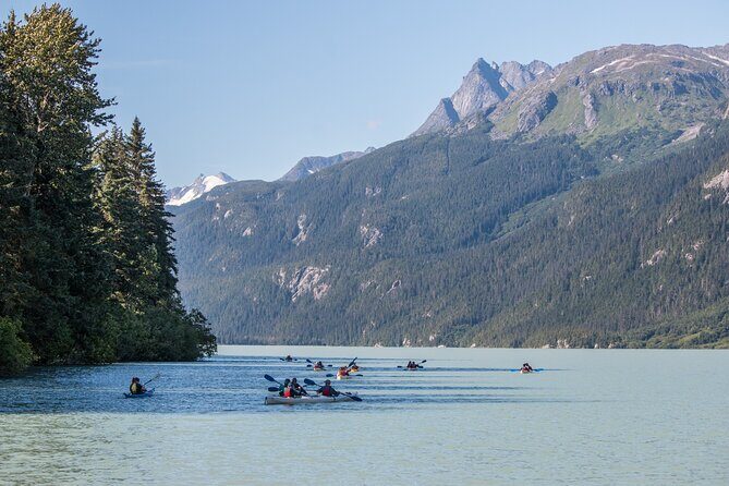 Wilderness Kayak Adventure in Haines - Final Thoughts
