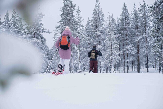 Wilderness snowshoe adventure - Authentic Experiences and Guest Insights