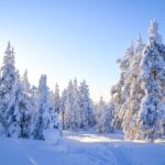 Wilderness Survival Tour - Winter - Authenticity and Guide Expertise