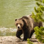 Wildlife and Waterfalls - Waterfalls and Scenic Hiking