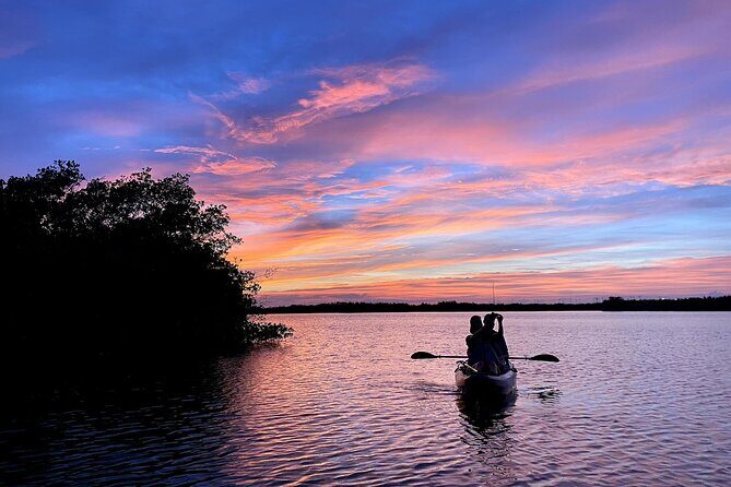 Wildlife Refuge Dolphin, Manatee & Mangrove Kayak or Paddleboarding Tour! - Diving Into the Details