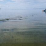 Wildlife Refuge Manatee, Dolphin & Mangrove Kayak or Paddleboarding Tour! - Authentic Feedback from Travelers