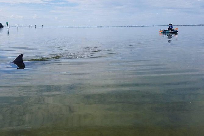 Wildlife Refuge Manatee, Dolphin & Mangrove Kayak or Paddleboarding Tour! - Authentic Feedback from Travelers