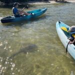 Wildlife Refuge Sunset Dolphin, Manatee & Mangrove Kayak or Paddleboarding Tour! - The Itinerary: What Can You Expect?