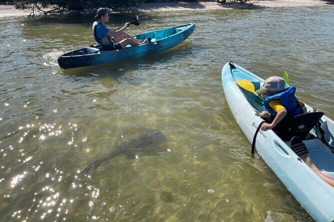 Wildlife Refuge Sunset Dolphin, Manatee & Mangrove Kayak or Paddleboarding Tour! - The Itinerary: What Can You Expect?