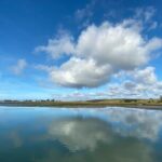 Wildlife Safari Boat Tour in Scenic Monterey Bay Wetland - The Sum Up