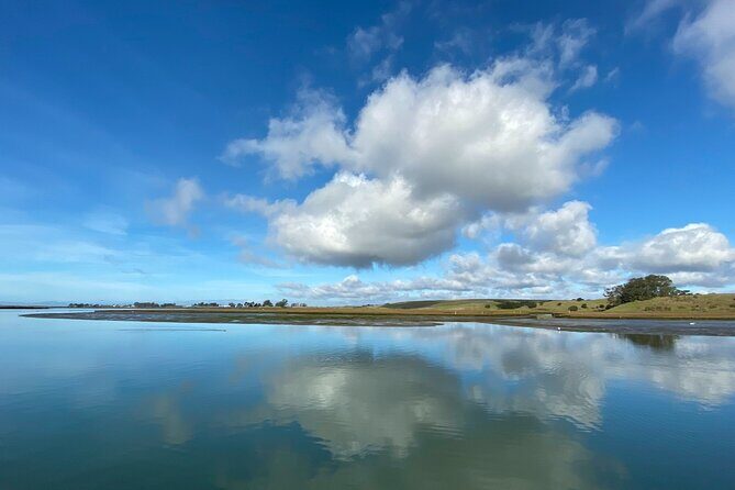 Wildlife Safari Boat Tour in Scenic Monterey Bay Wetland - The Sum Up