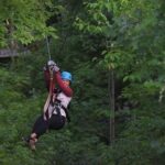 Wildman Zip Line Tour - The Course – A Closer Look