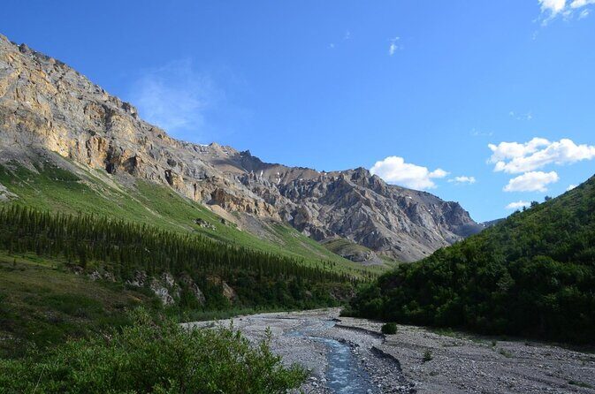 Wilds of Alaska Classic ATV Adventure - The Riding Experience: What to Expect?