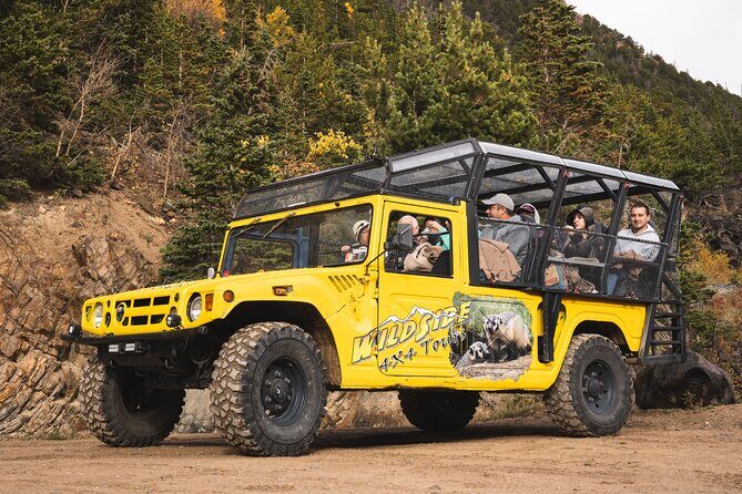 Wildside 4X4's Winter Wonderland Photo Tour - What Sets It Apart