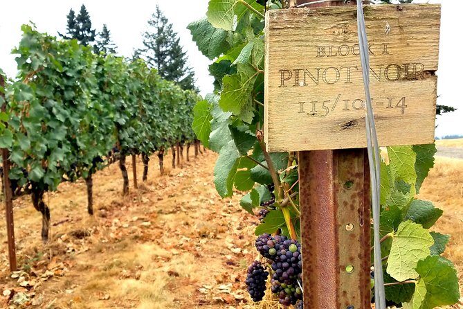 Willamette Valley Wine Tour - Full Day Tour - Authentic Experiences & Customer Feedback