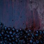 Willamette Wine Tour from Newberg (Tasting Fees Included) - Who Will Love This Tour?