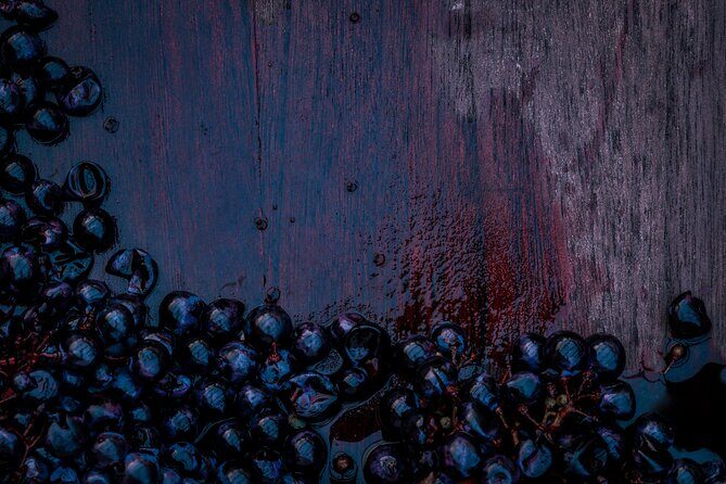 Willamette Wine Tour from Newberg (Tasting Fees Included) - Who Will Love This Tour?