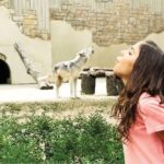Williamsburg: Busch Gardens Ticket & Water Country Option - What Does the Price Get You?
