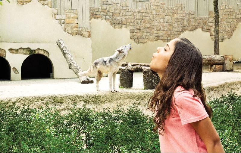 Williamsburg: Busch Gardens Ticket & Water Country Option - What Does the Price Get You?