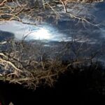 Williamsburg: Dead of Night Paranormal investigations Tour - Who Would Love This Tour?