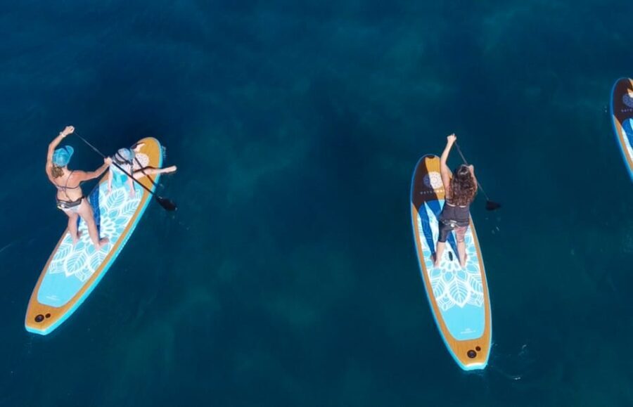 Willow Beach: Paddle Board Rental - Who Should Book This Experience?