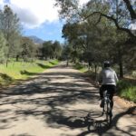 Wine Country Half-Day Bike Tour from Solvang - w/o Lunch - The Real Experience: What Travelers Are Saying