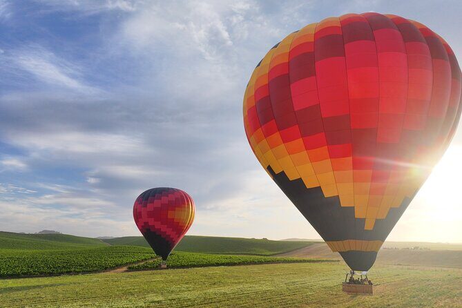 Wine Country Join-in Flight - The Experience: What You Can Expect