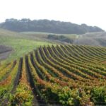 Wine Country Van Tour in Santa Ynez Valley - What’s Included and What’s Not