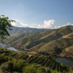 Wine experience with a sommelier - FAQ