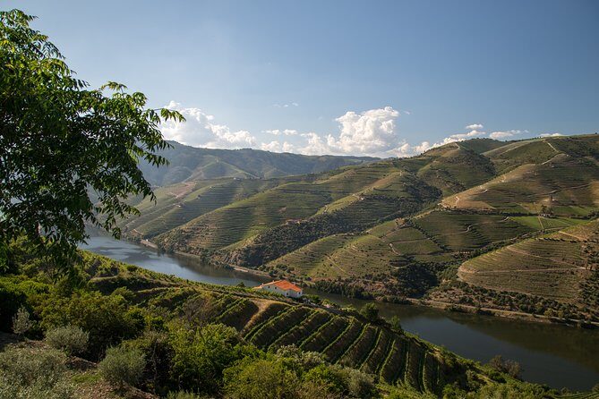 Wine experience with a sommelier - FAQ