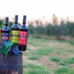 Wine & Oil Tasting Experience - Who Should Consider This Tour?