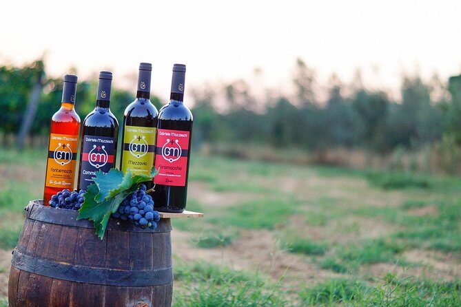Wine & Oil Tasting Experience - Who Should Consider This Tour?