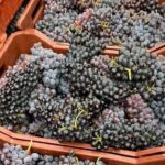 Wine Raki Olive Oil Tasting and Pottery - Private Tour - Why This Tour Adds Value