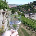 Wine rally in Würzburg with tasting - The Sum Up: Who Will Love the Würzburg Wine Rally?