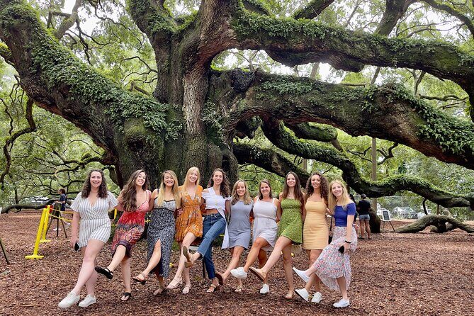 Wine Sippin'-Tea Drinkin'-Tree Huggin' Lowcountry Sightseeing - Transportation and Group Size: Comfort and Connection