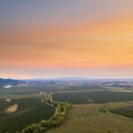 Wine, Stables and Classic Cars Willamette Valley Tour Experience - Key Points