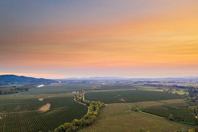 Wine, Stables and Classic Cars Willamette Valley Tour Experience - Key Points