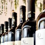 Wine Tasting and History Prague - An In-Depth Look at the Tour Experience