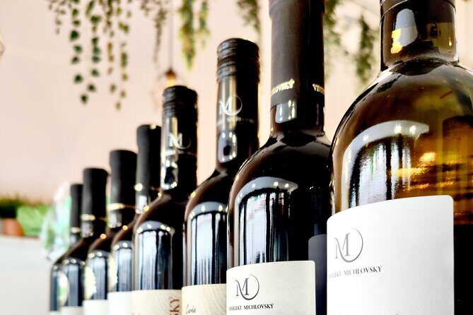Wine Tasting and History Prague - An In-Depth Look at the Tour Experience
