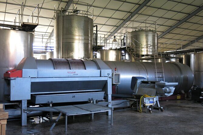 Wine tasting and winery tour at Fikardos Winery - What to Expect During the Tour and Tasting
