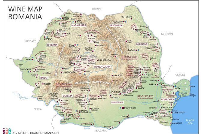 Wine Tasting in Bucharest long version - Who will love this experience?