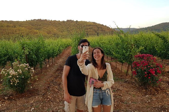 Wine tasting in Vieste - What Travelers Are Saying