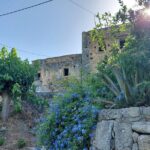 Wine Tasting: Meet the Cretan Vineyard at West Chania - FAQs
