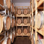 Wine tasting tour, Optional wine yard tour and kayak rides - The Optional Kayak or Boat Ride