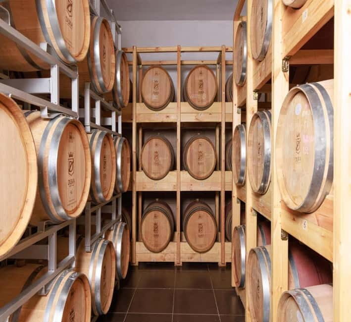 Wine tasting tour, Optional wine yard tour and kayak rides - The Optional Kayak or Boat Ride