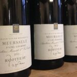 Wine tour and tasting in Burgundy - The Visit to a Family Estate