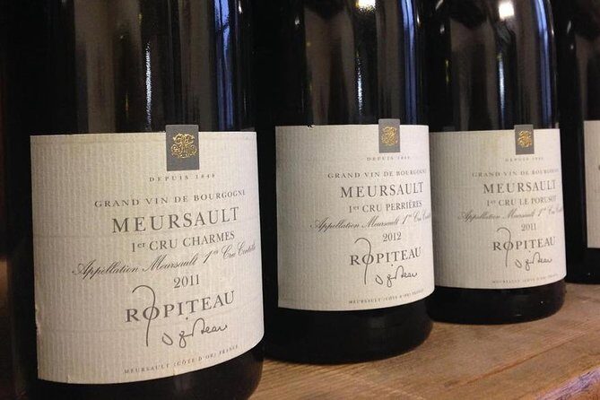 Wine tour and tasting in Burgundy - The Visit to a Family Estate