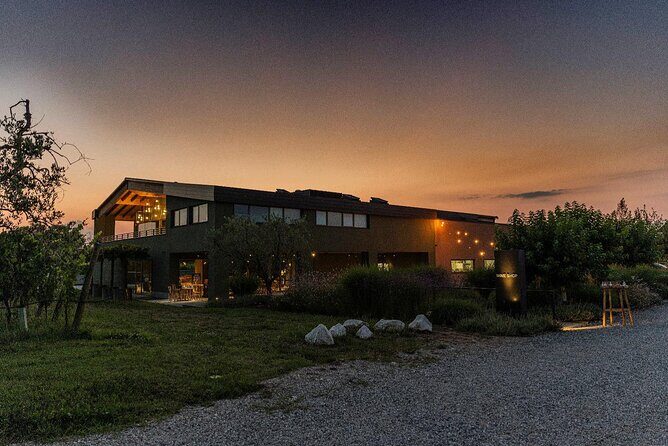 Wine Tour and Tasting of Lugana Wines in Desenzano - Practical Details and Tips