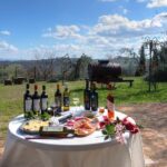 Wine Tour Experience at Agricola Tamburini - What Travelers Say