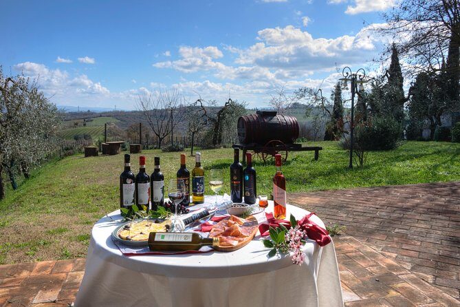 Wine Tour Experience at Agricola Tamburini - What Travelers Say